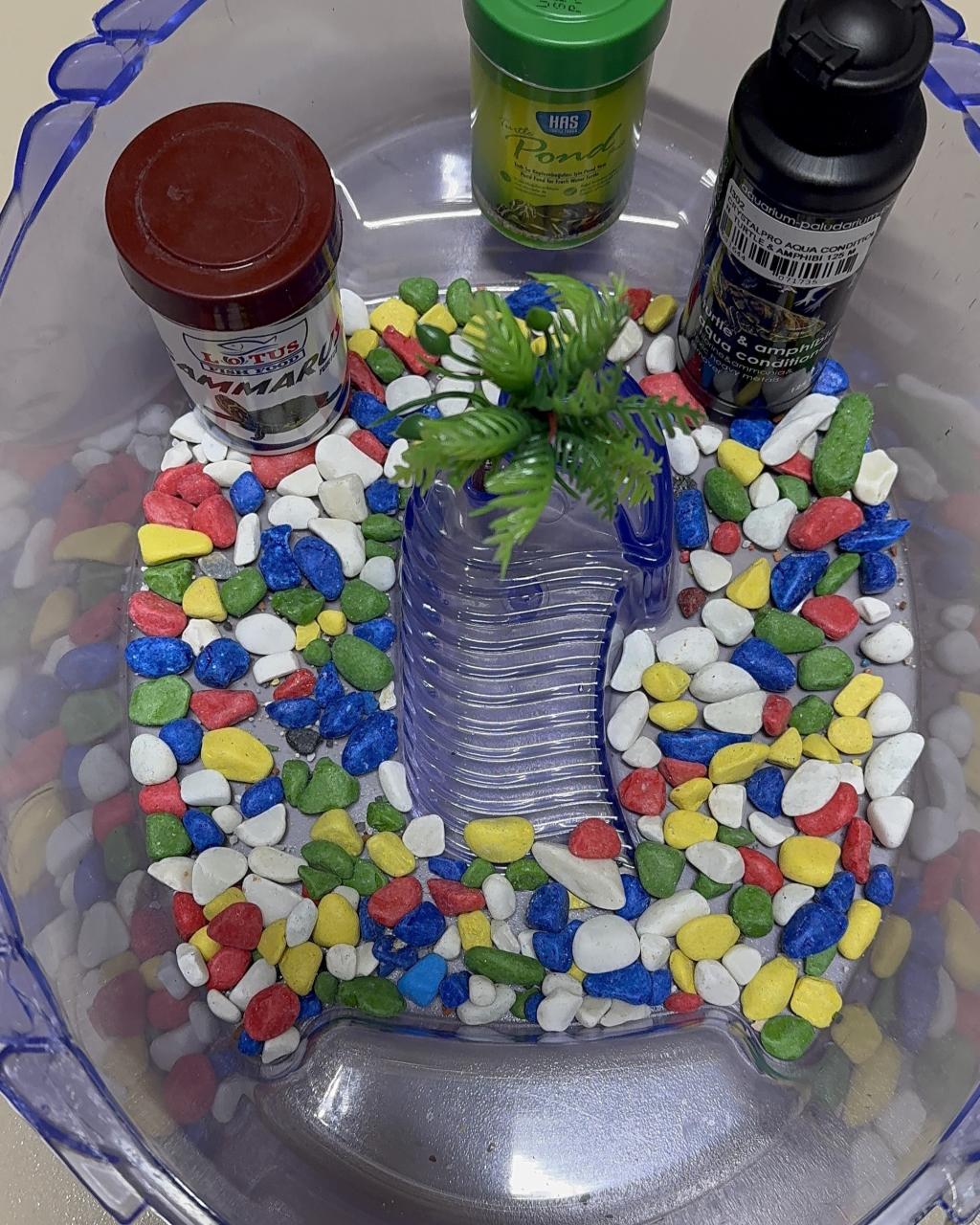 Su Kaplumbağası Donatello Yavrusu | Petcim.com - 1317928