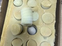 Satılık Keklik İlanları Ve Fiyatları | Petcim.com